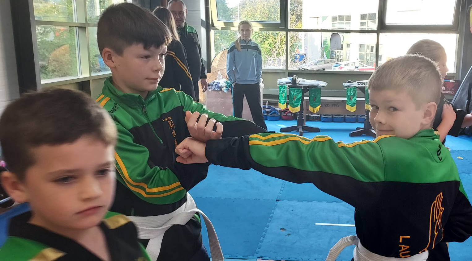 Classes – Lau Gar Ireland